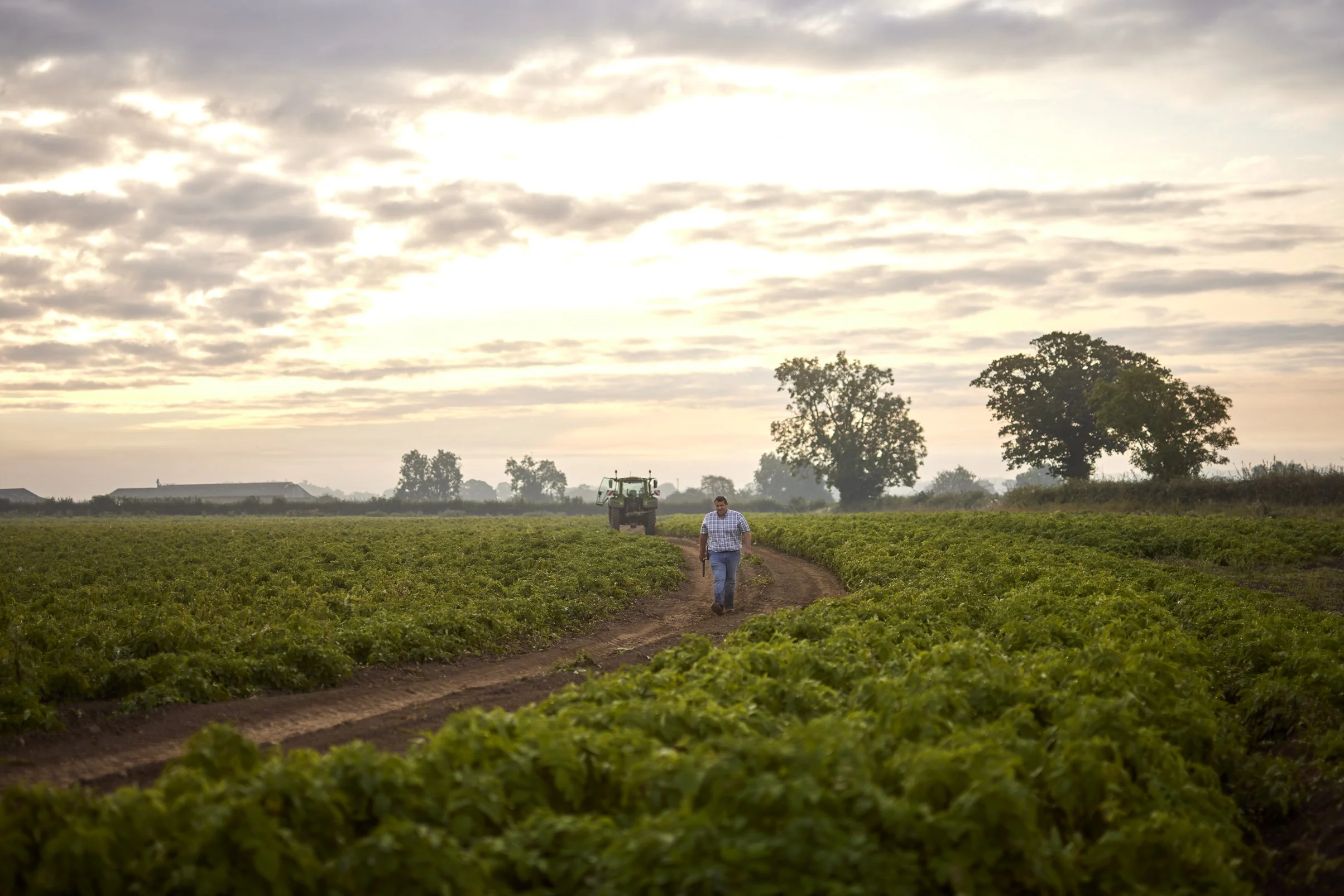 ‘CROPVERT’• WALKERS — SPLENDID COMMUNICATIONS