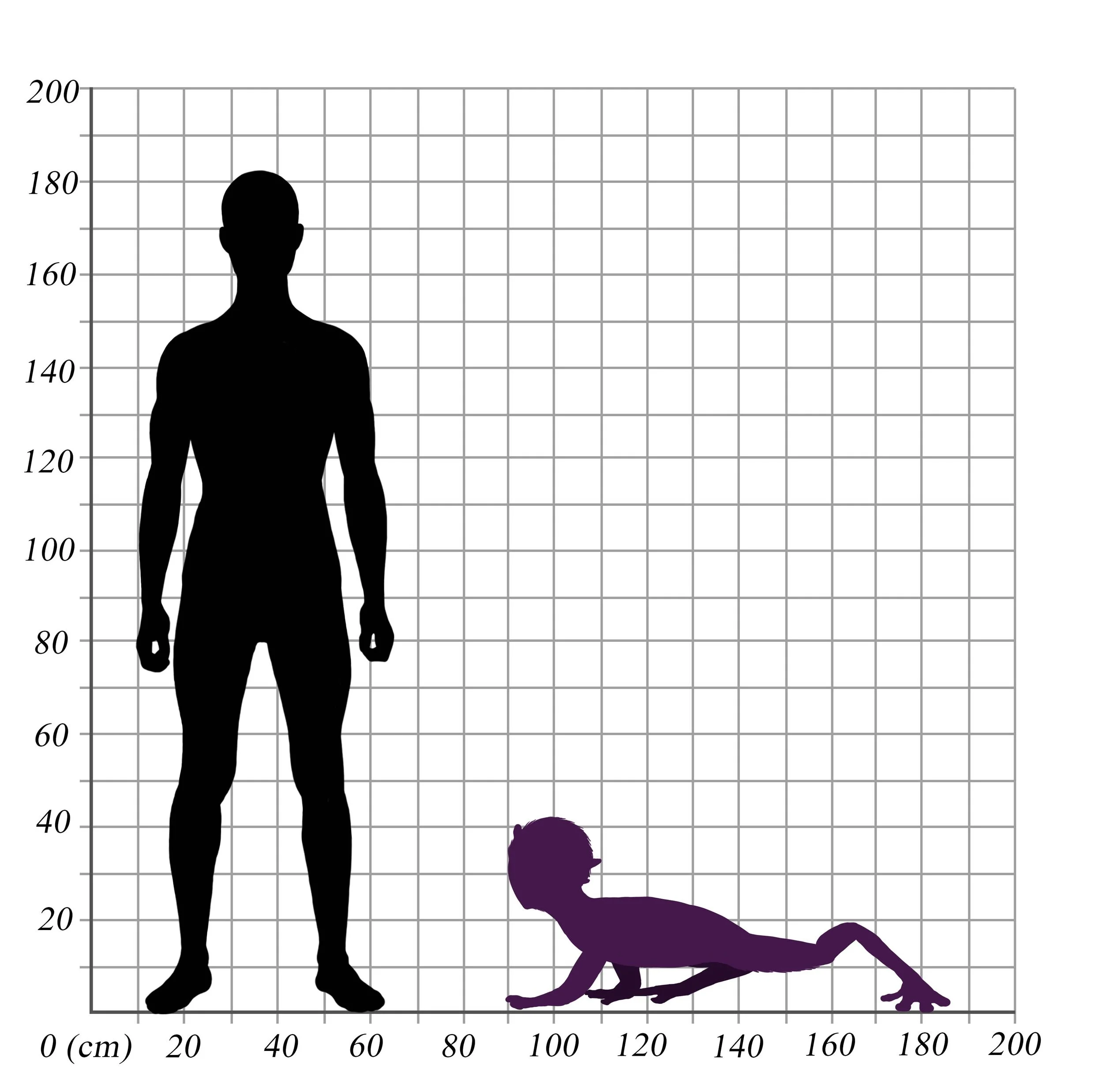 Manzi Information - Fantasy Creature — The Imerian