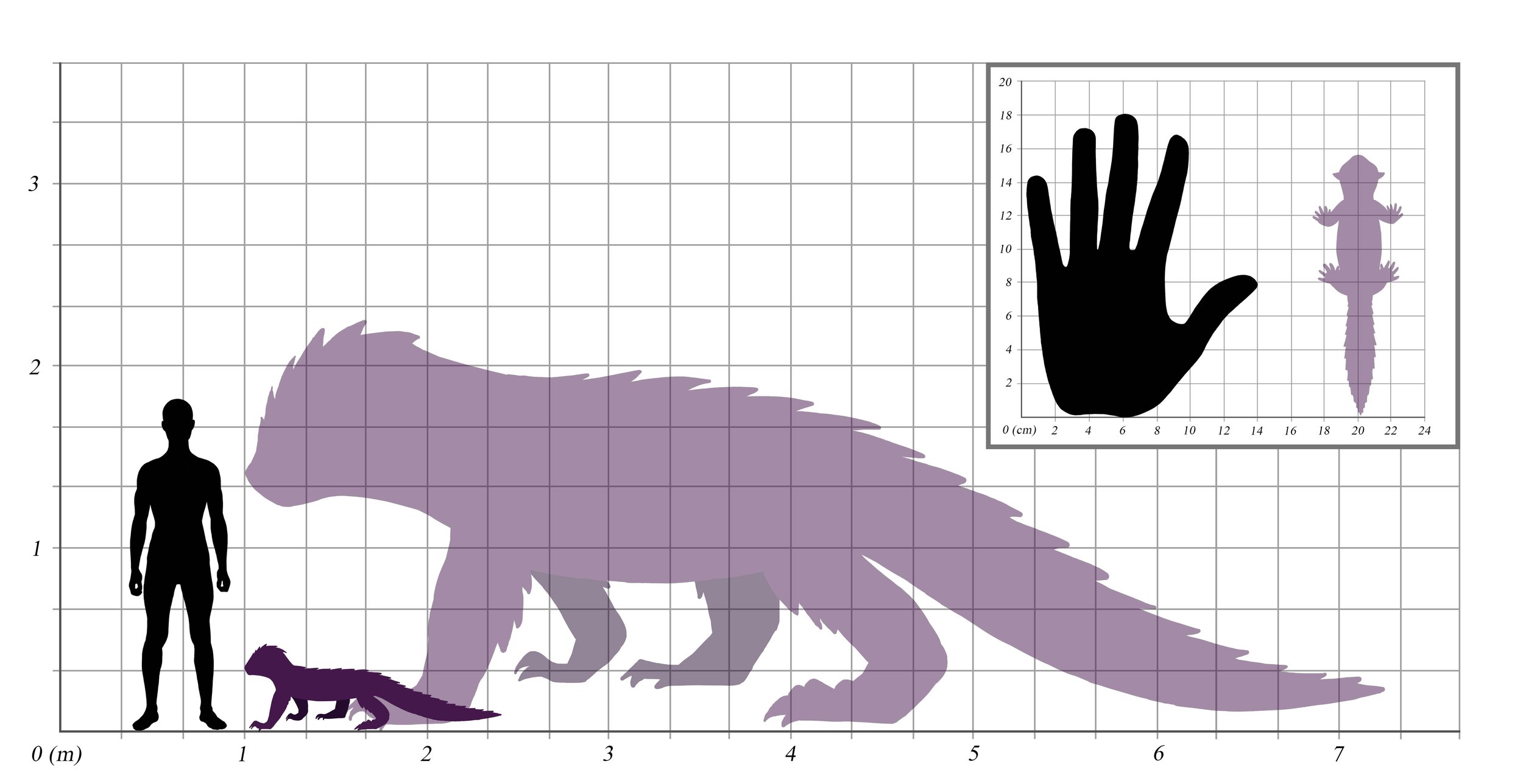 Roken Information - Intelligent Fantasy Reptiles | Shapeshifting ...