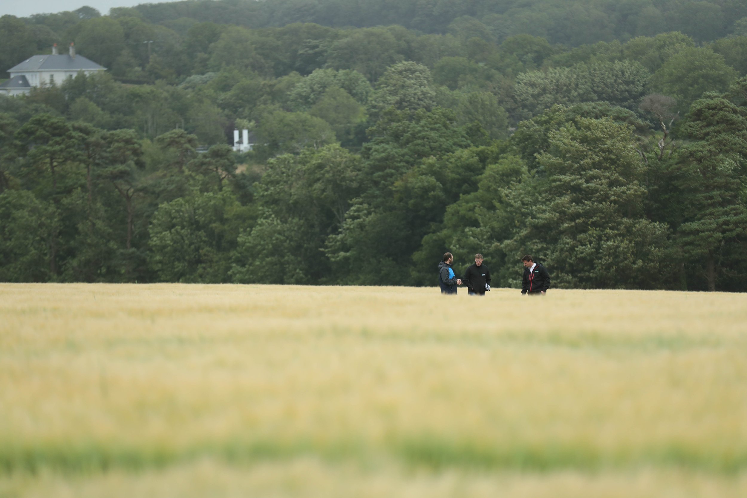 Laureate Spring Malting Barley highest yielding malt barley on DAFM ...