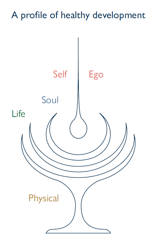 Steiner Educational Insights — The Field Centre