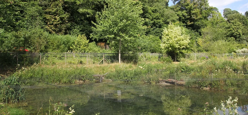 Step-by-Step Biodynamic Fish Farming — The Field Centre