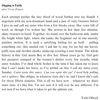 How To Write an After Poem — Doula of Words