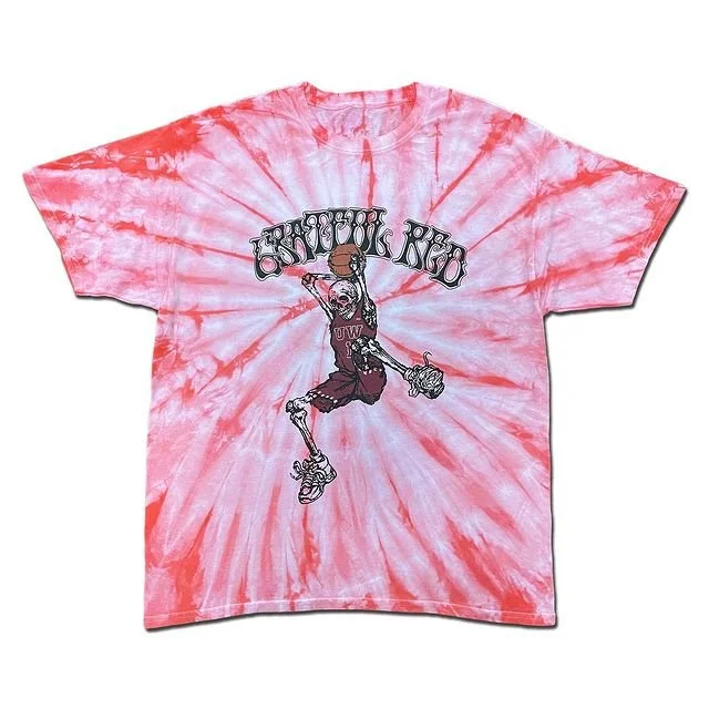 Wisconsin Design Team