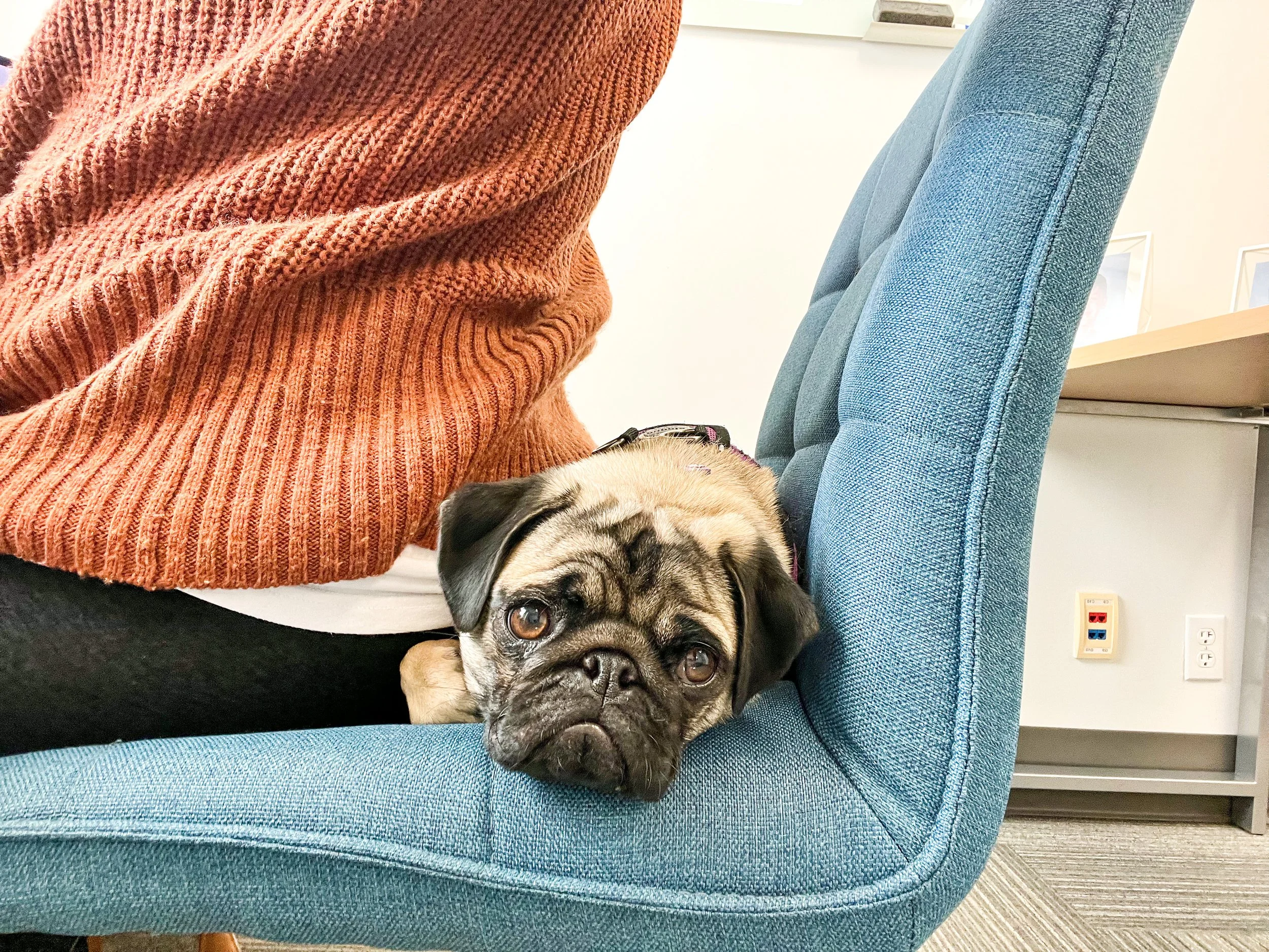 Meet the Team — Kindred Strategy