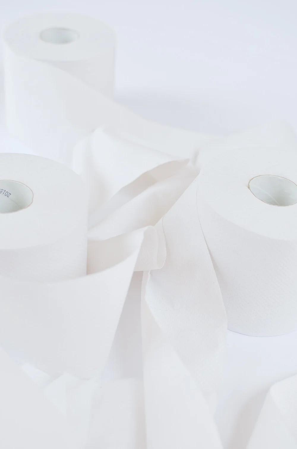 We Tried Who Gives A Crap Toilet Paper & Here's How It Went — Momma Society