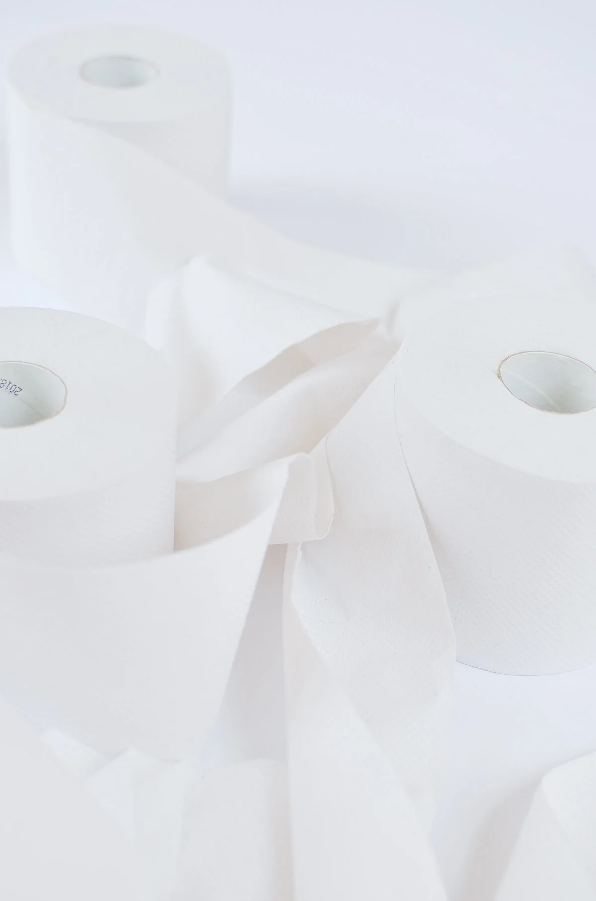 We Tried Who Gives A Crap Toilet Paper & Here's How It Went — Momma Society