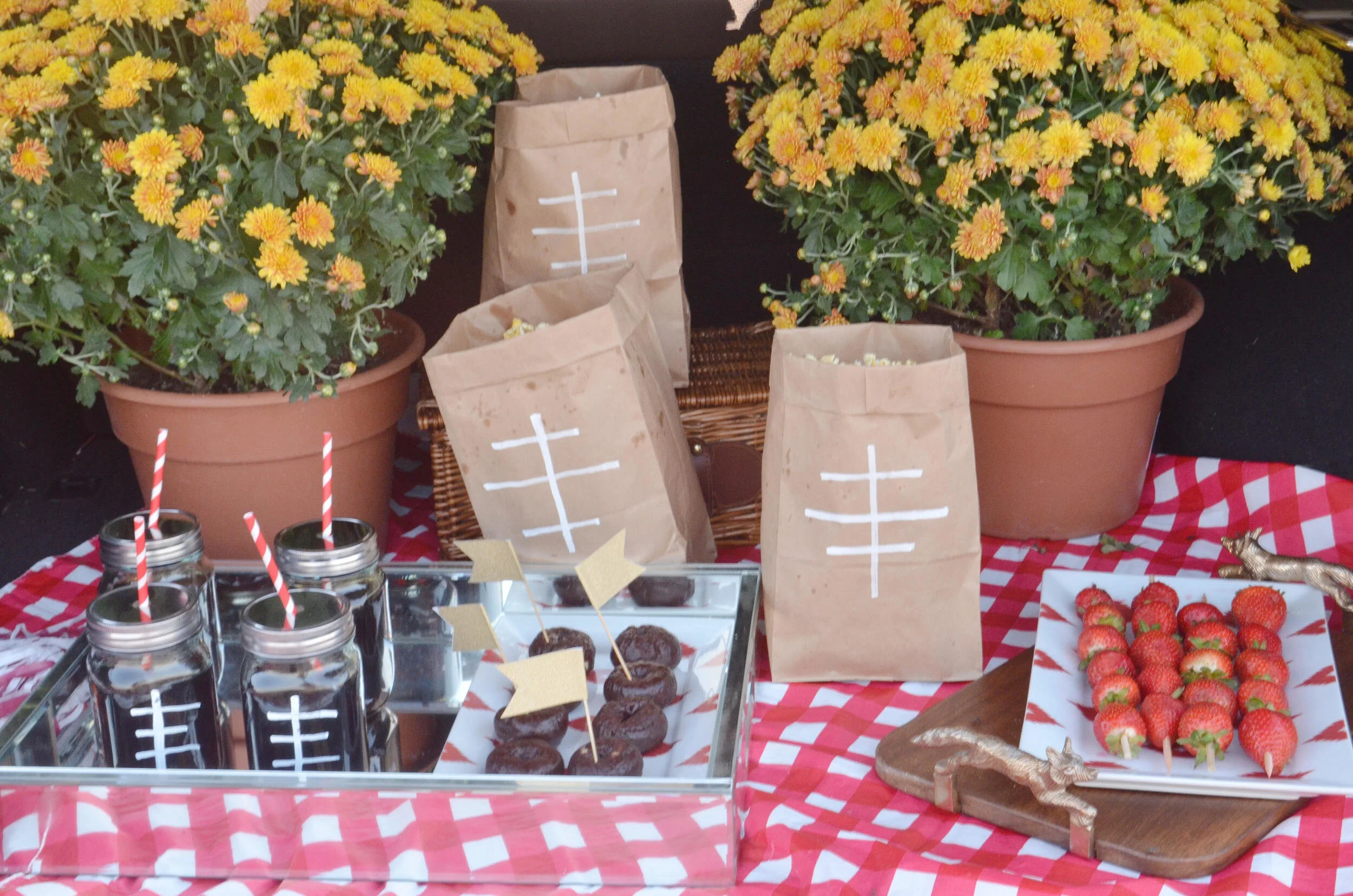 5 Tips for Tailgating with a Baby — Momma Society
