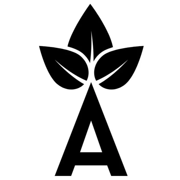 Ananeo: Substance Use & Mental Health Housing