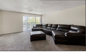 Services 1 — Ananeo: Substance Use & Mental Health Housing