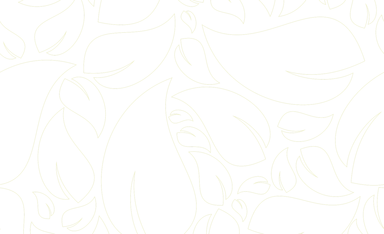 Ananeo: Substance Use & Mental Health Housing