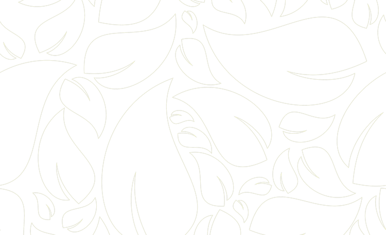 Ananeo: Substance Use & Mental Health Housing