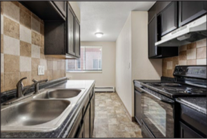 Services 1 — Ananeo: Substance Use & Mental Health Housing