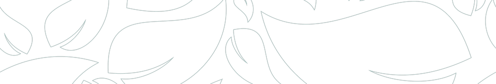 Services 1 — Ananeo: Substance Use & Mental Health Housing