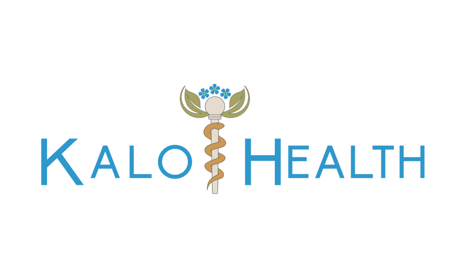 Denver Greek Festival