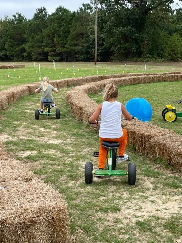 Tart's Mega Corn Maze