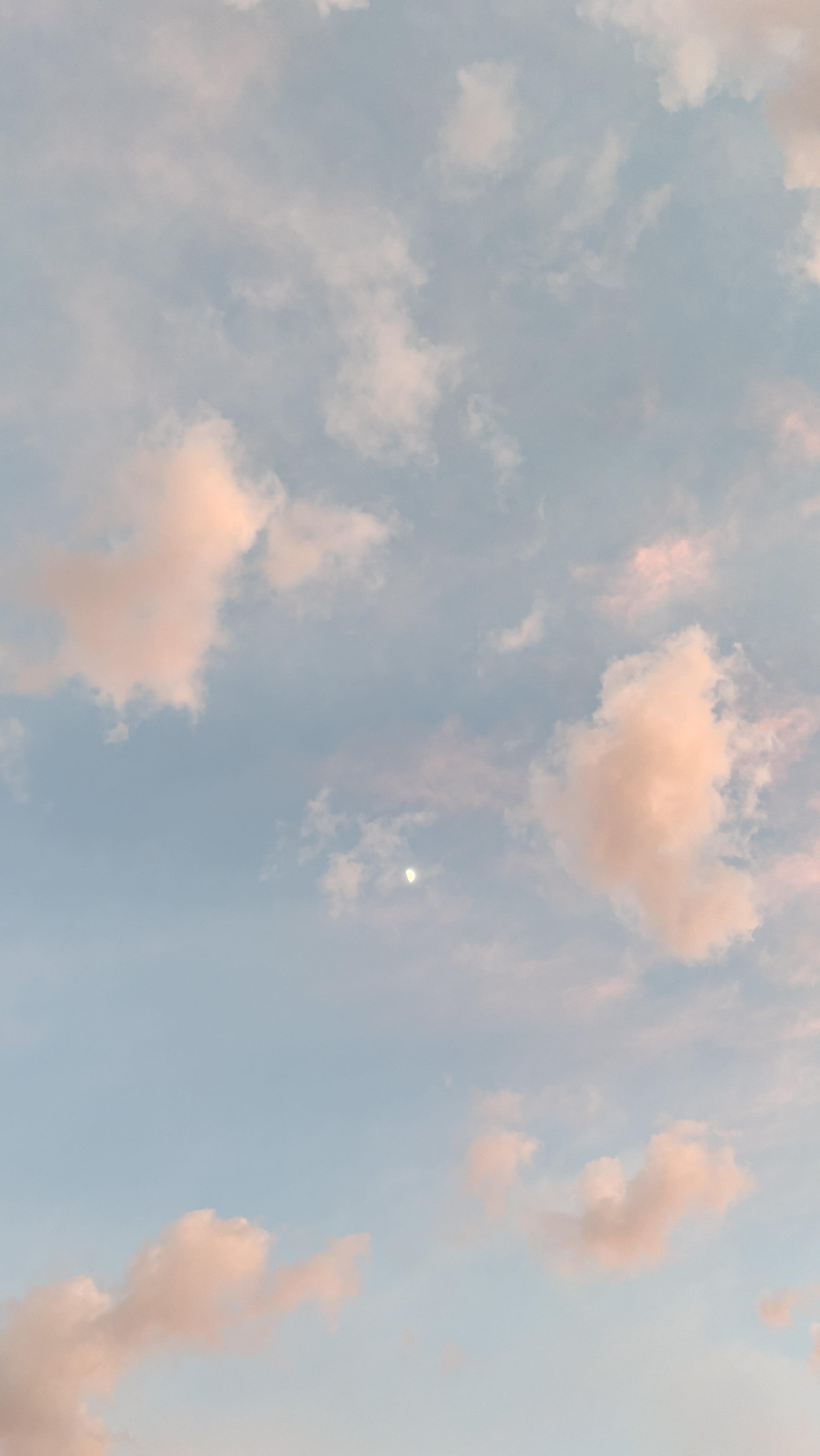 Milky Dreams — Blush Design Studio