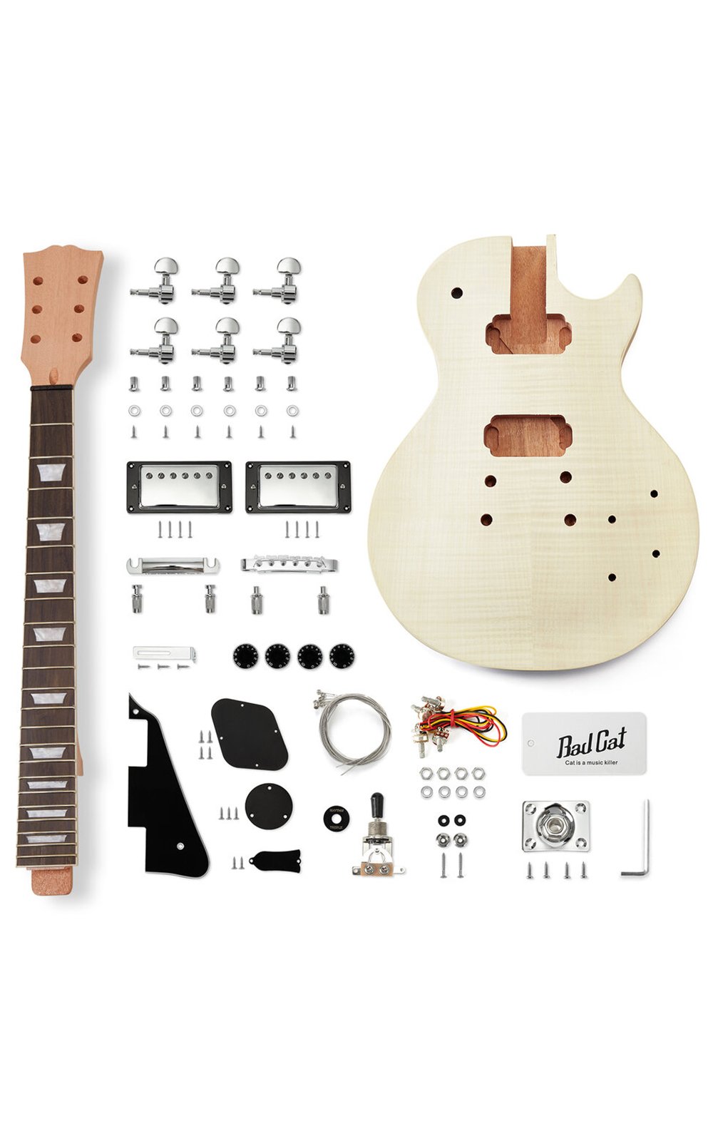 Store 1 — Bad Cat Instruments