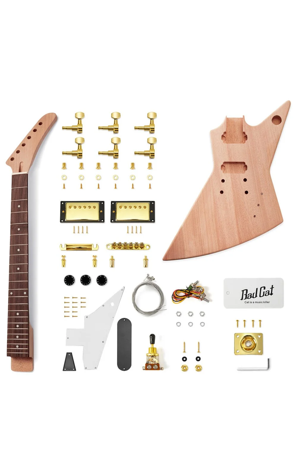 Store 1 — Bad Cat Instruments