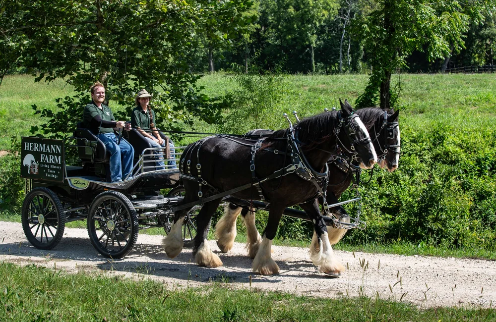 Hermann Farm Heritage Festival — HERMANN FARM