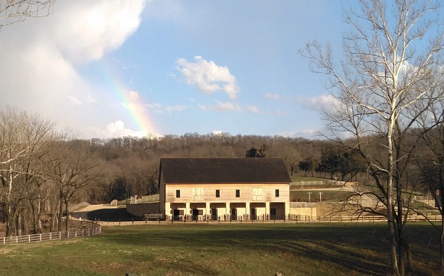 Hermann Farm's Black Shires — HERMANN FARM
