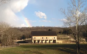 Hermann Farm's Black Shires — HERMANN FARM