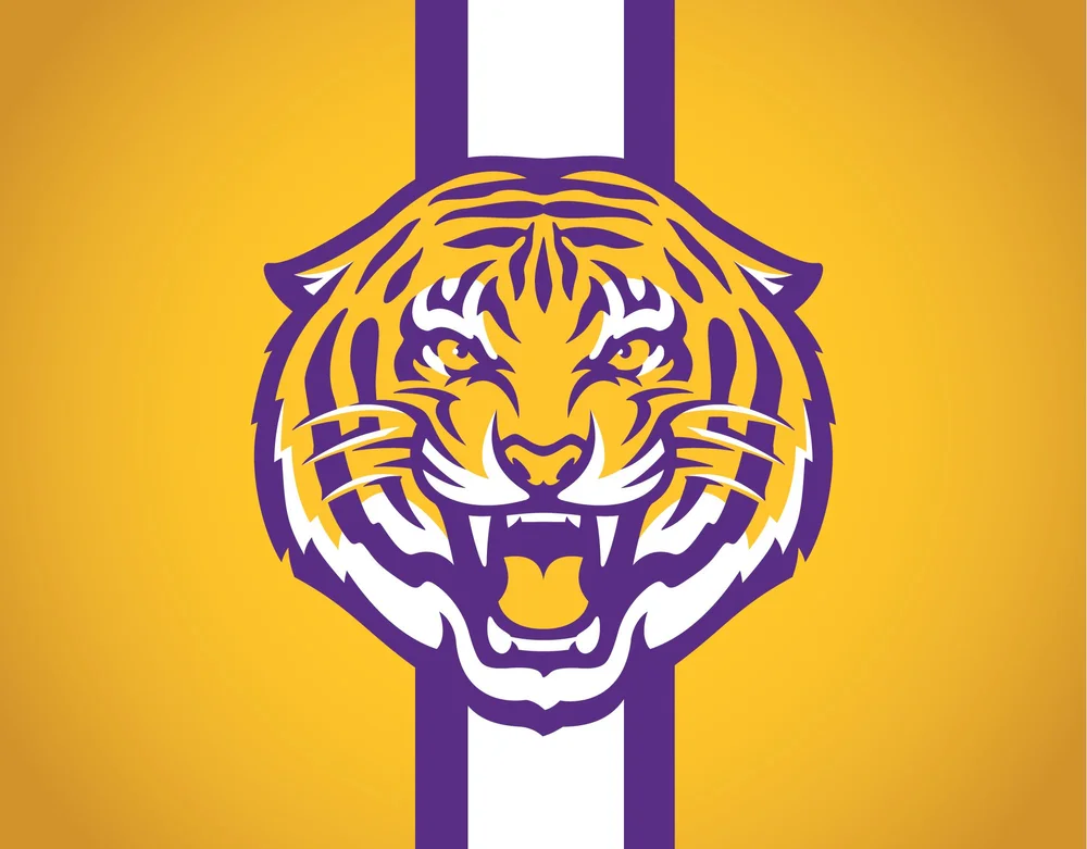 Torch Creative | Award-Winning Sports Logo Design & Mascot Branding