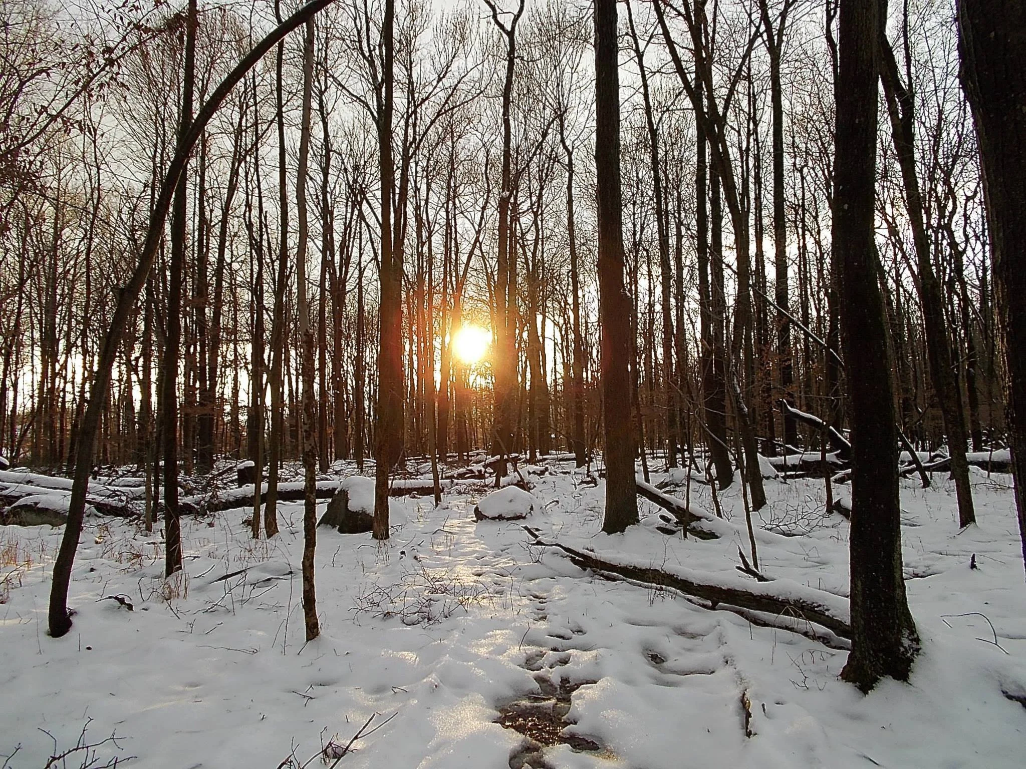 FOHW | Explore Nature Today