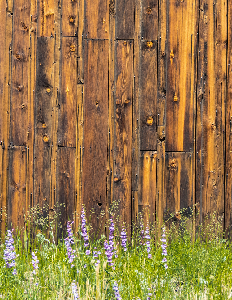 IJRA Board — Indiana Junior Rodeo Association