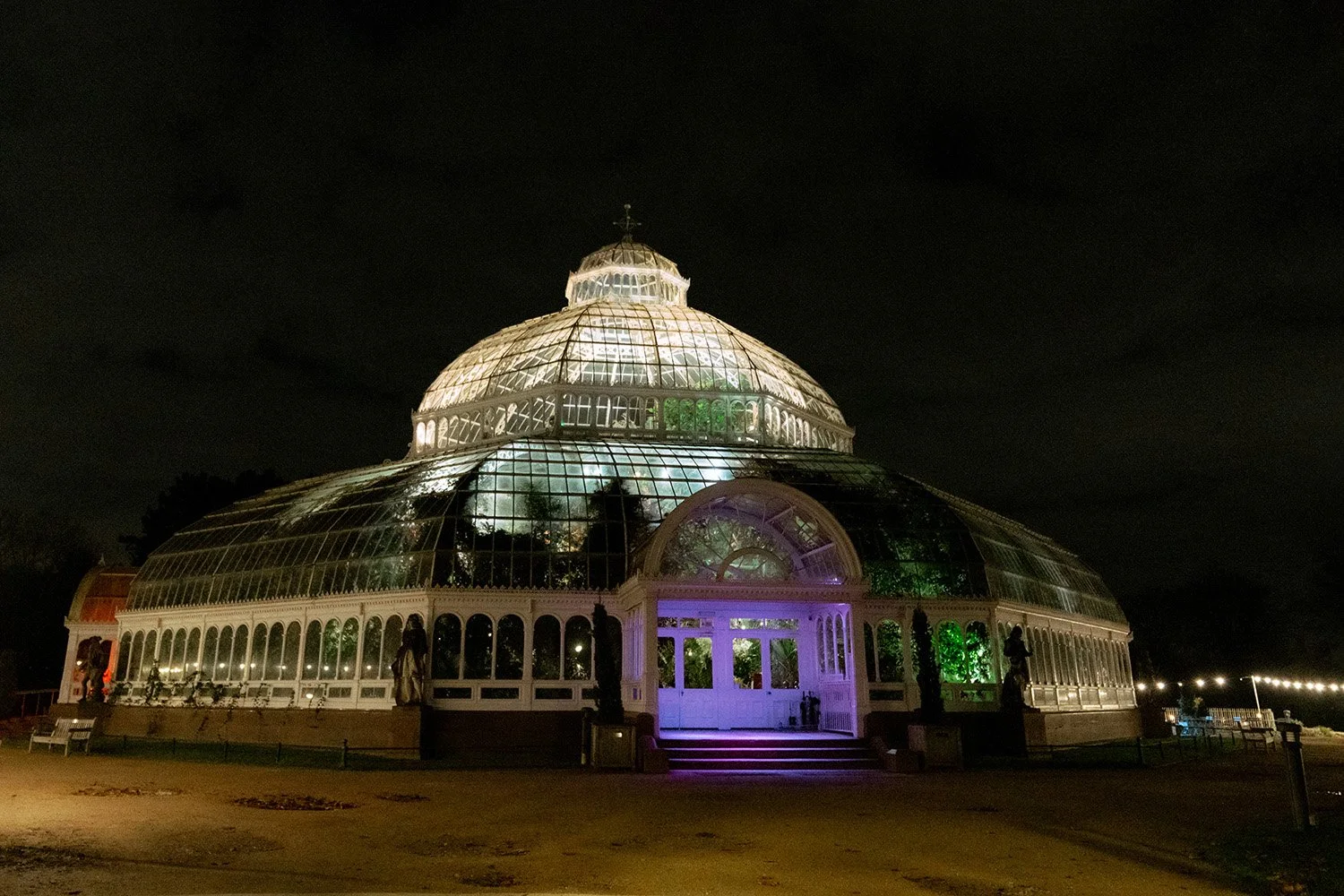 Sefton Park Palm House Wedding | Carla & Nick