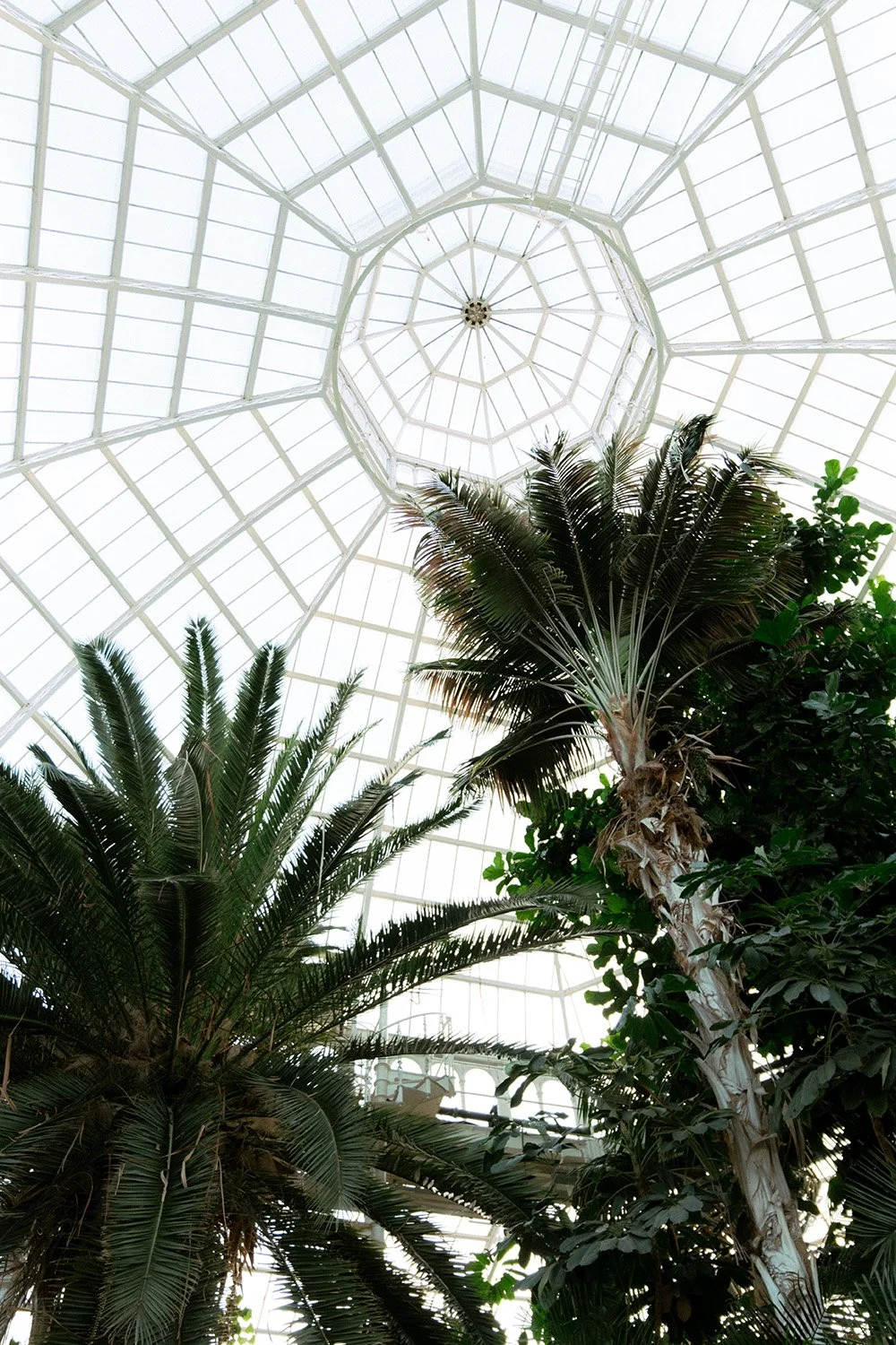 Sefton Park Palm House Wedding | Carla & Nick