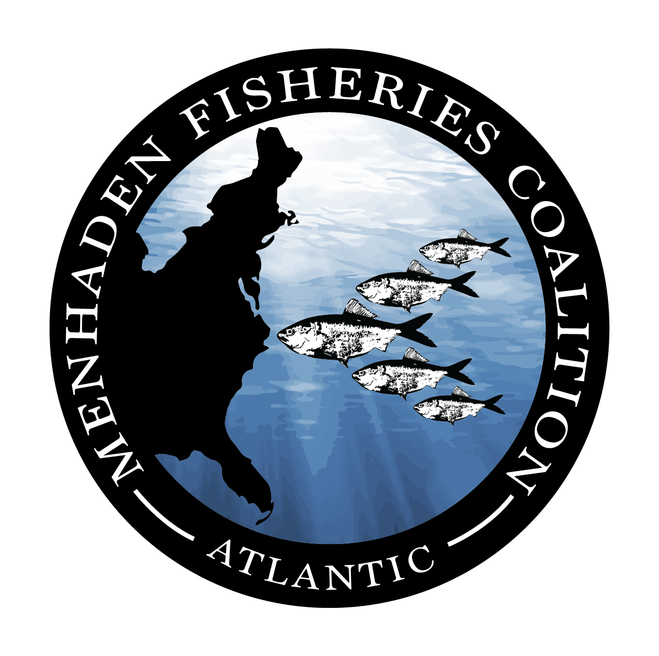 Atlantic Menhaden — MENHADEN FISHERIES COALITION