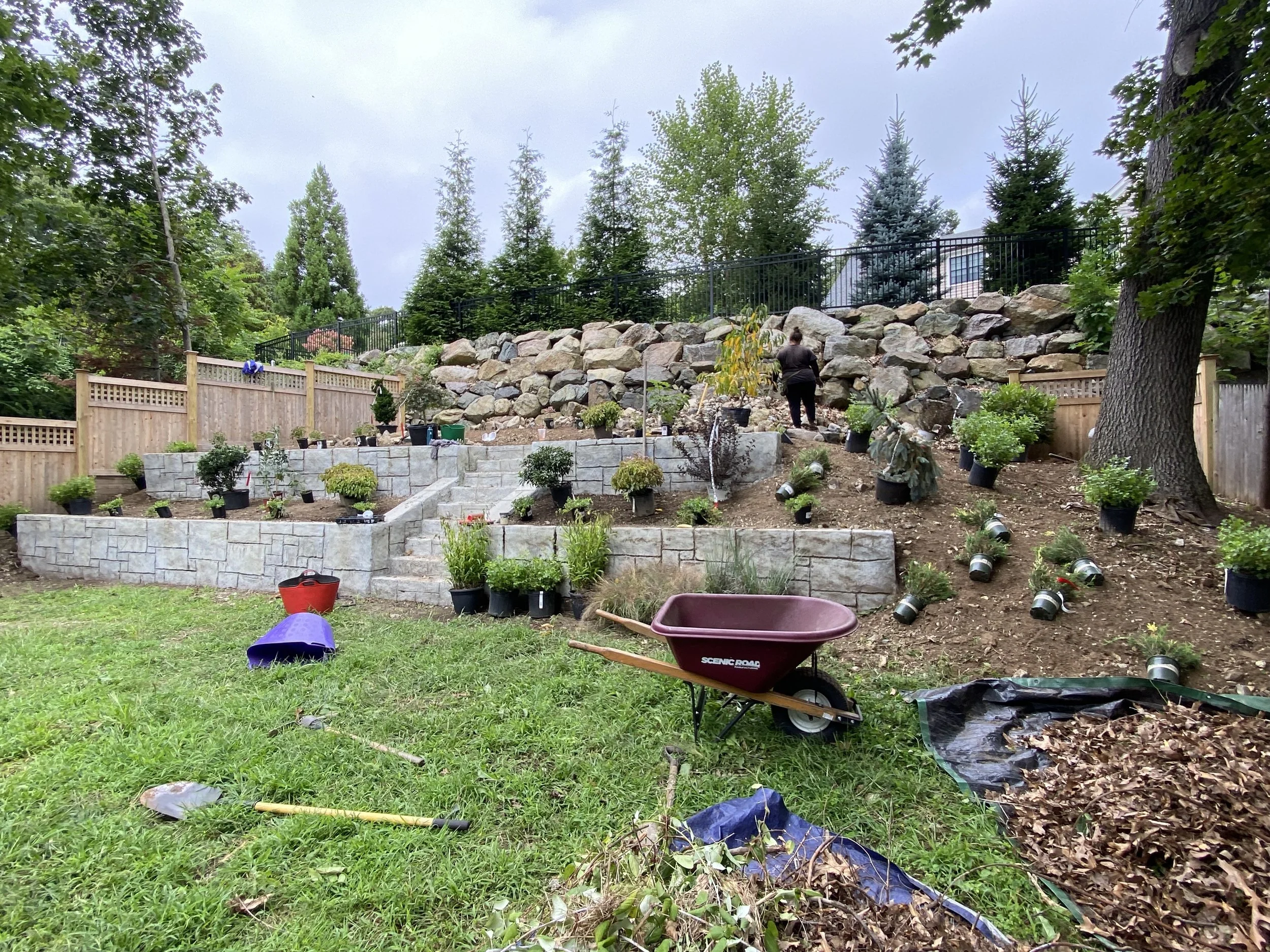 Hedgewitch Horticulture