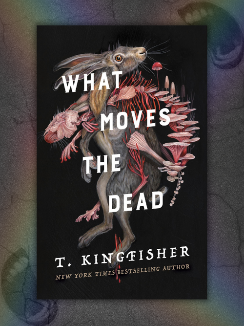The Best Queer Horror Novels — What Is Quinn Reading?