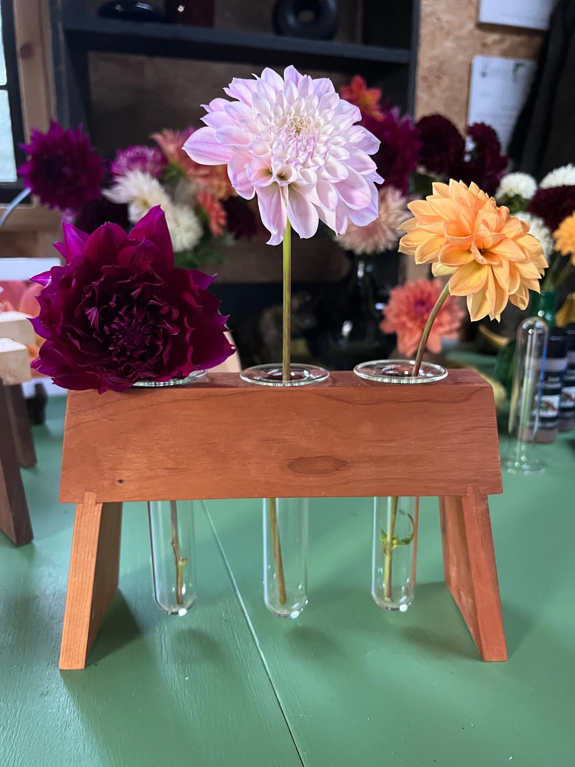 Individual Tubers + Grab Bags — FREEPORT DAHLIAS at Perseverance Farm