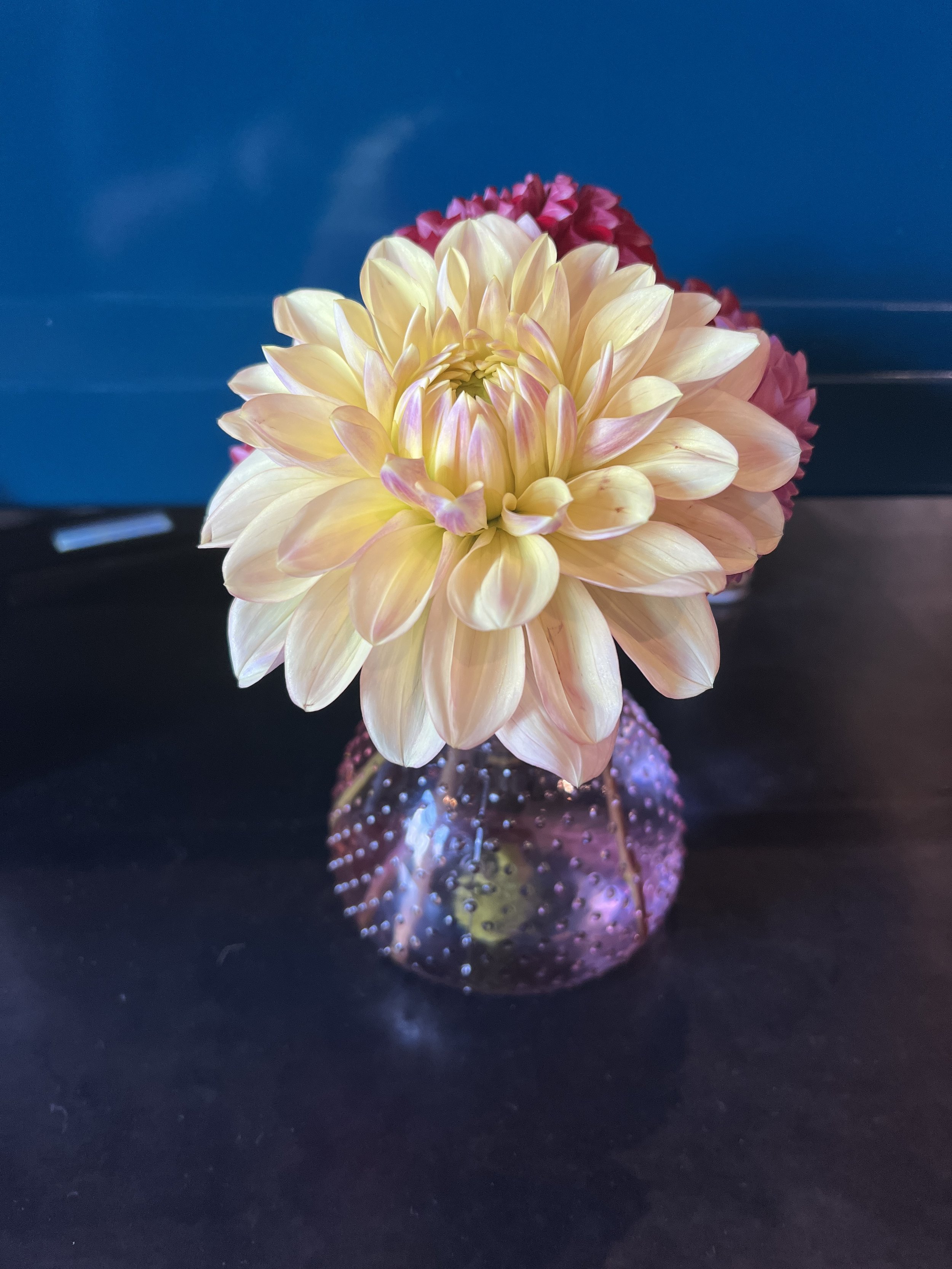 Bouqs + Blooms — FREEPORT DAHLIAS at Perseverance Farm