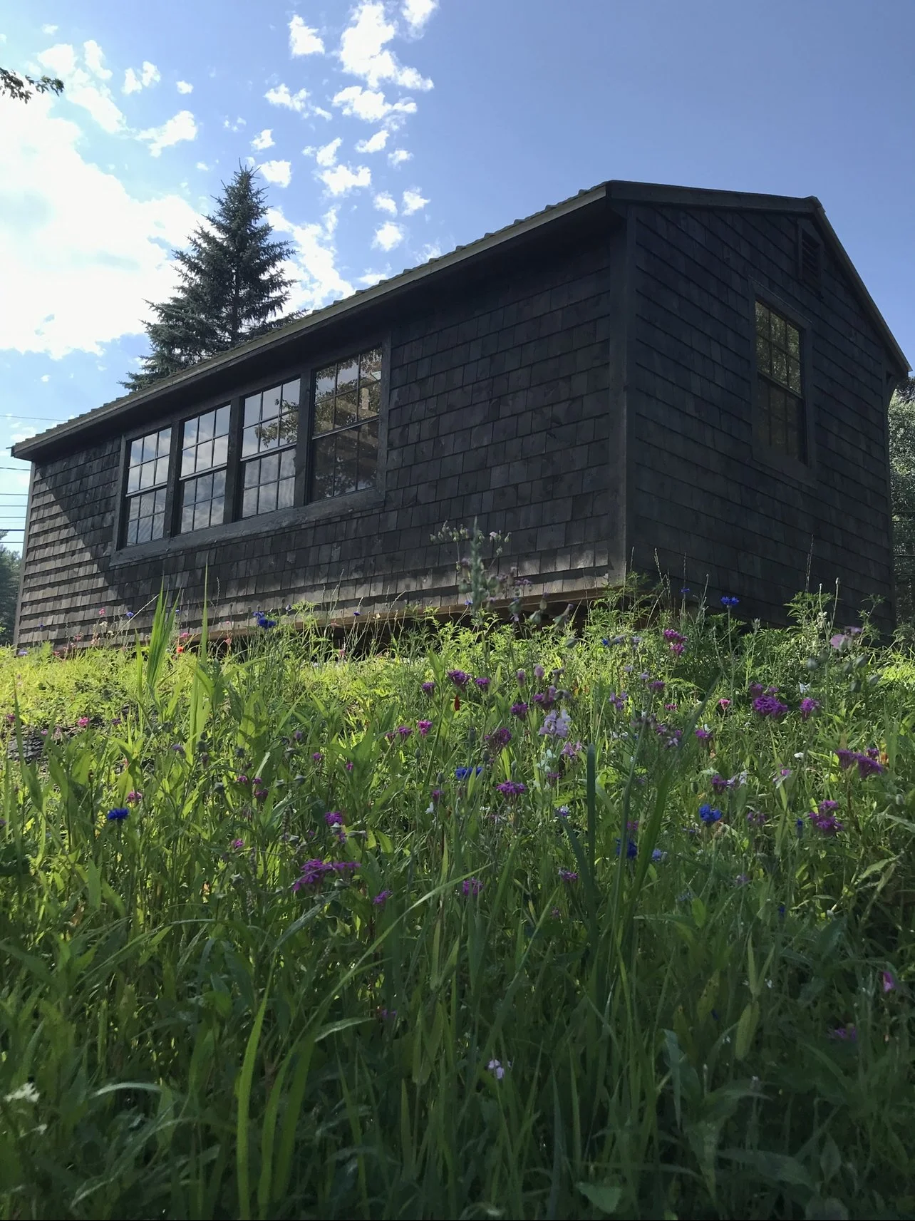 FREEPORT DAHLIAS at Perseverance Farm