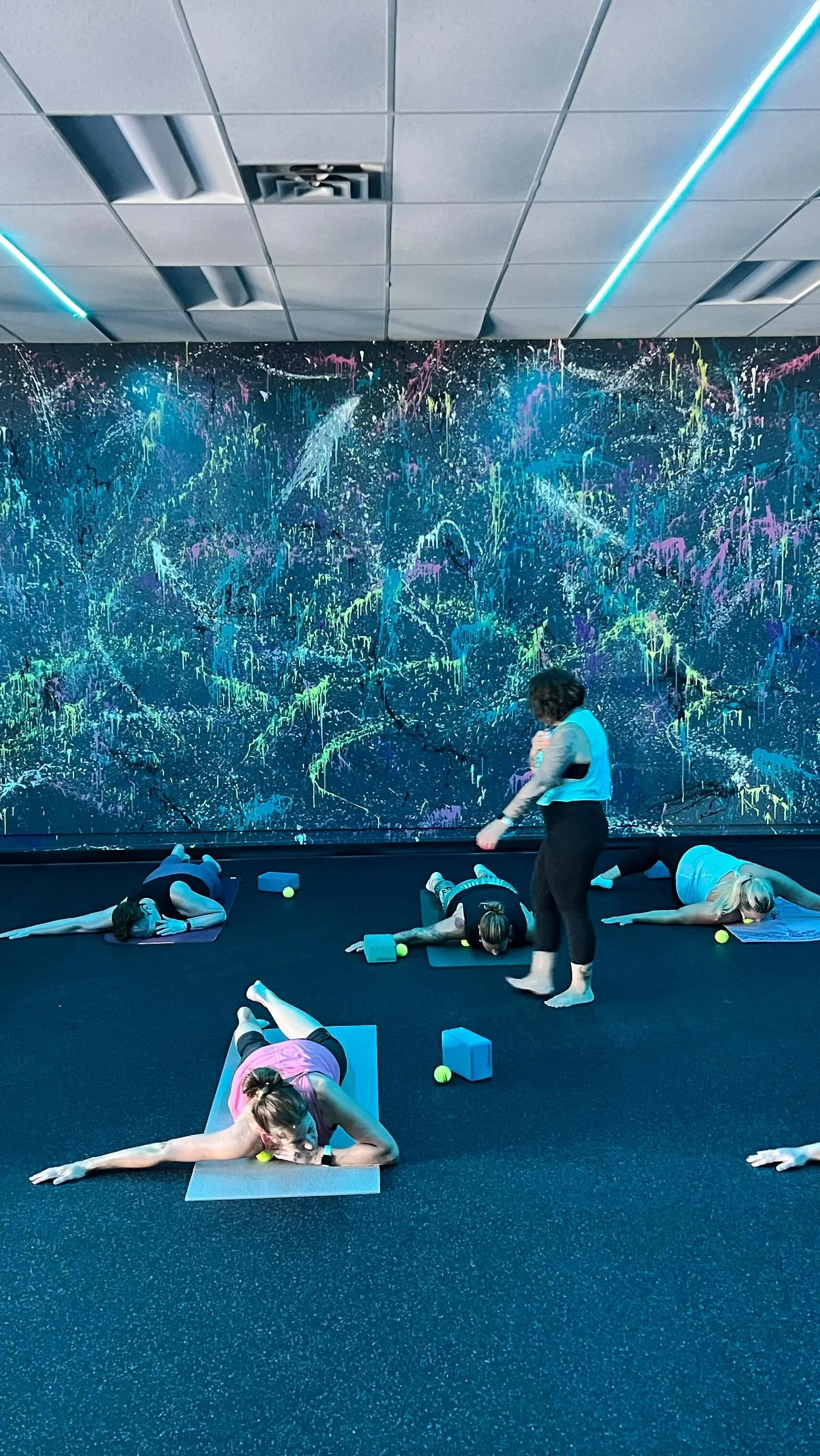 Contact Us — EVO Athletics