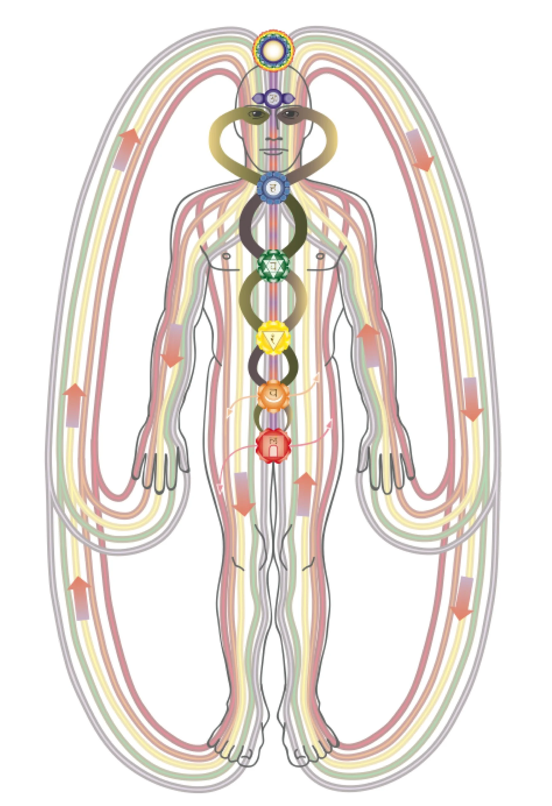 The Famous Polarity Therapy Man — Polarity Wellness