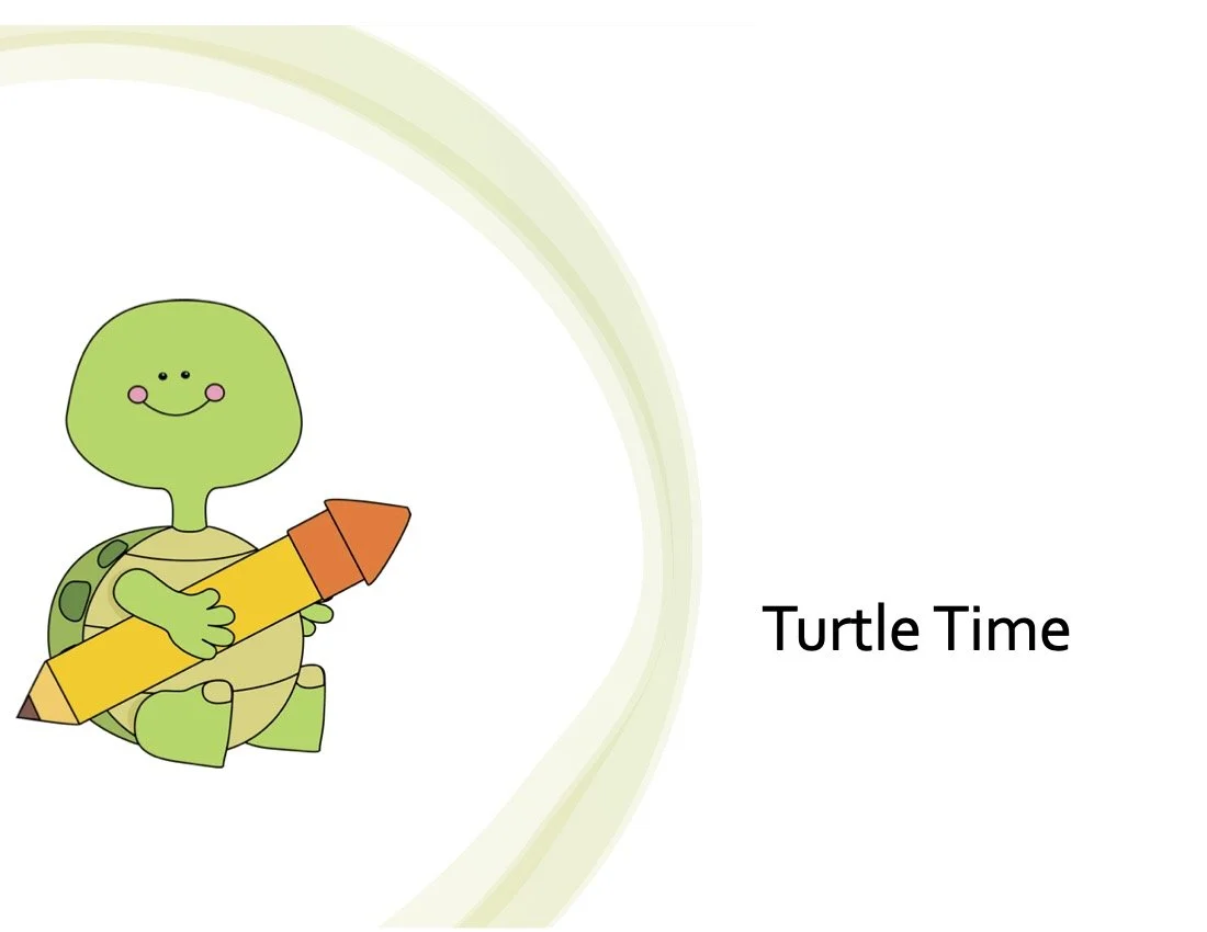Turtle Time — Safe Harbor Coronado