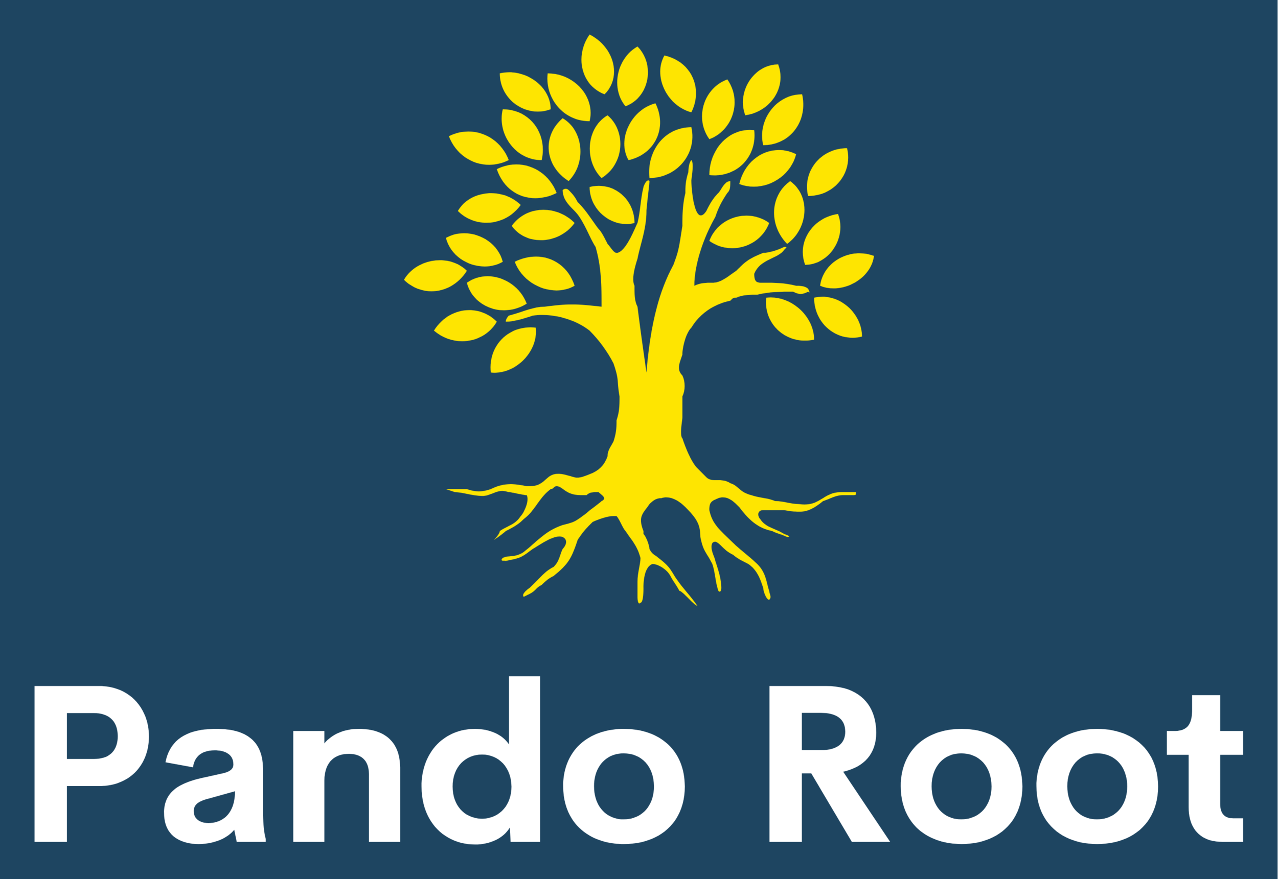 Pando