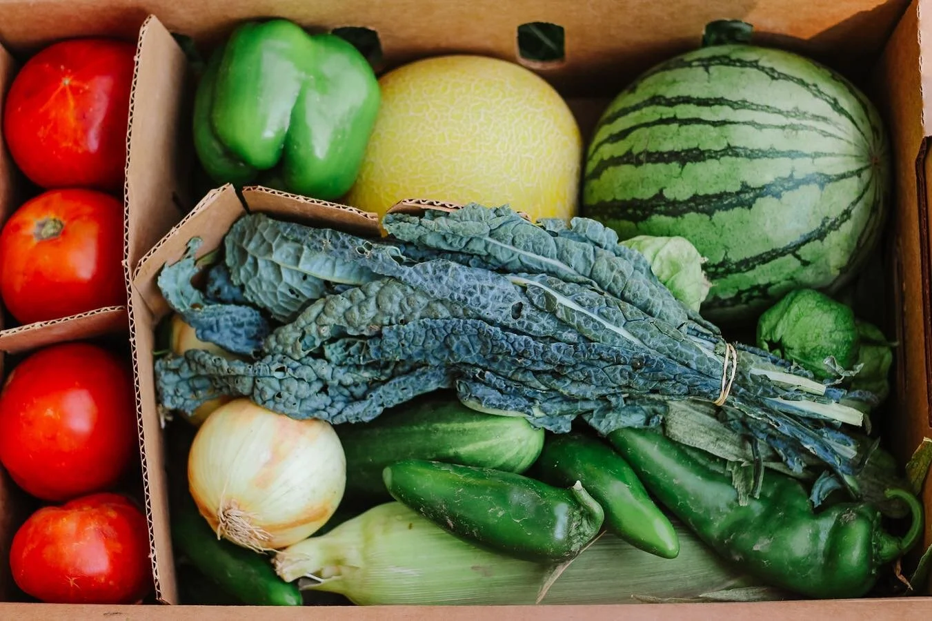 Tagge's Famous Fruit & Veggie Farms