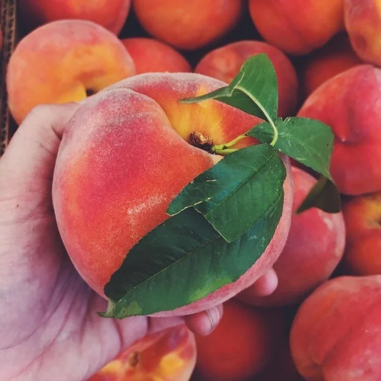 Tagge's Famous Fruit & Veggie Farms