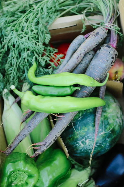 Tagge's Famous Fruit & Veggie Farms