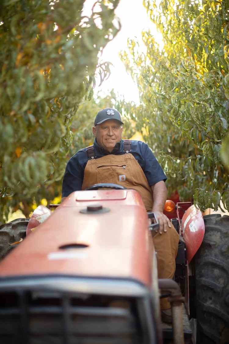About — Tagge's Famous Fruit & Veggie Farms