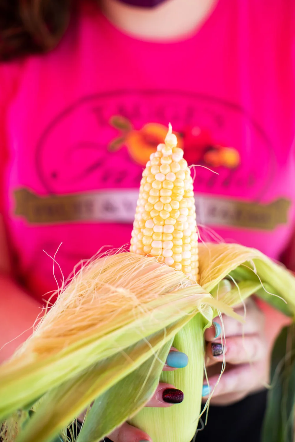 About — Tagge's Famous Fruit & Veggie Farms