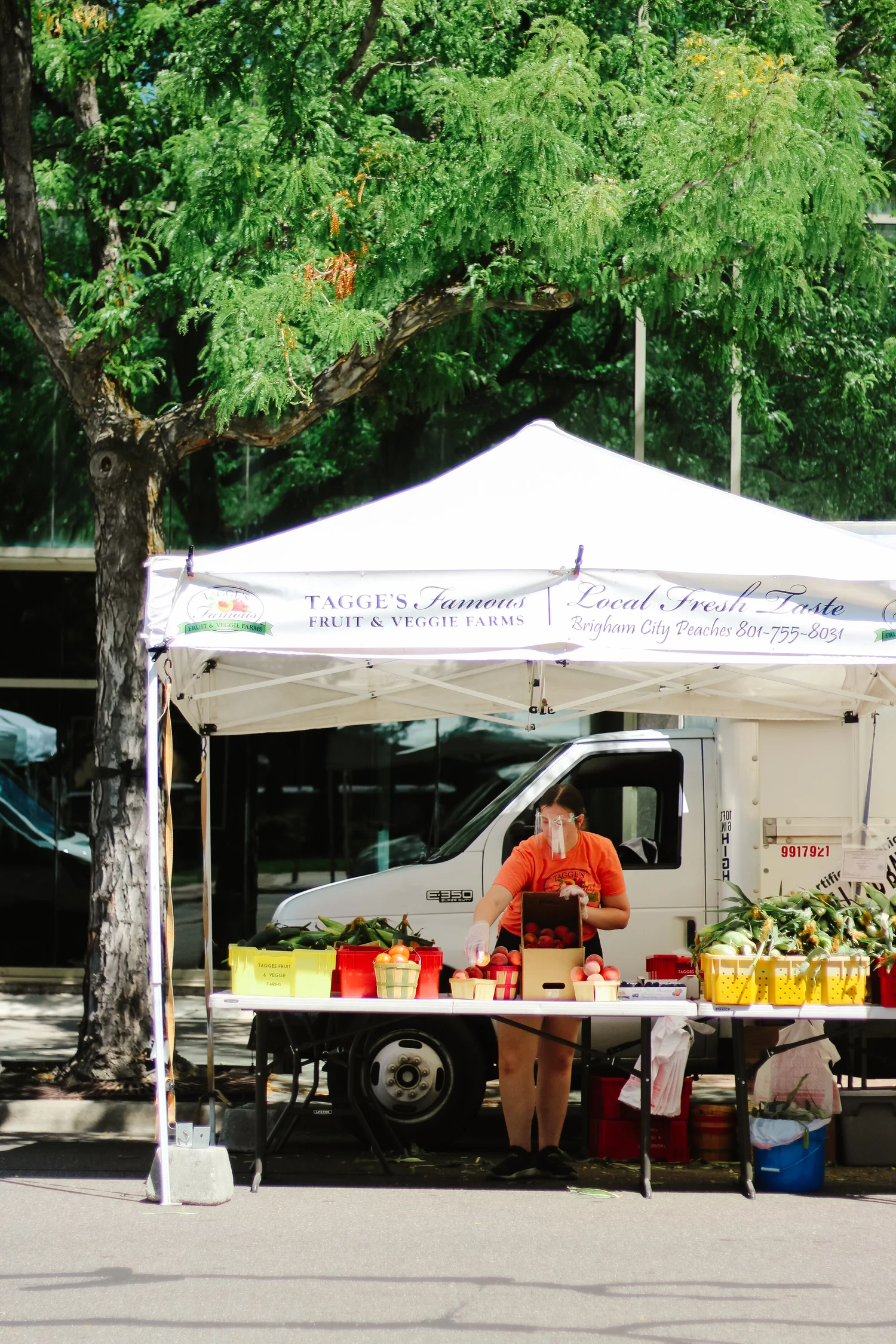 Find Us — Tagge's Famous Fruit & Veggie Farms