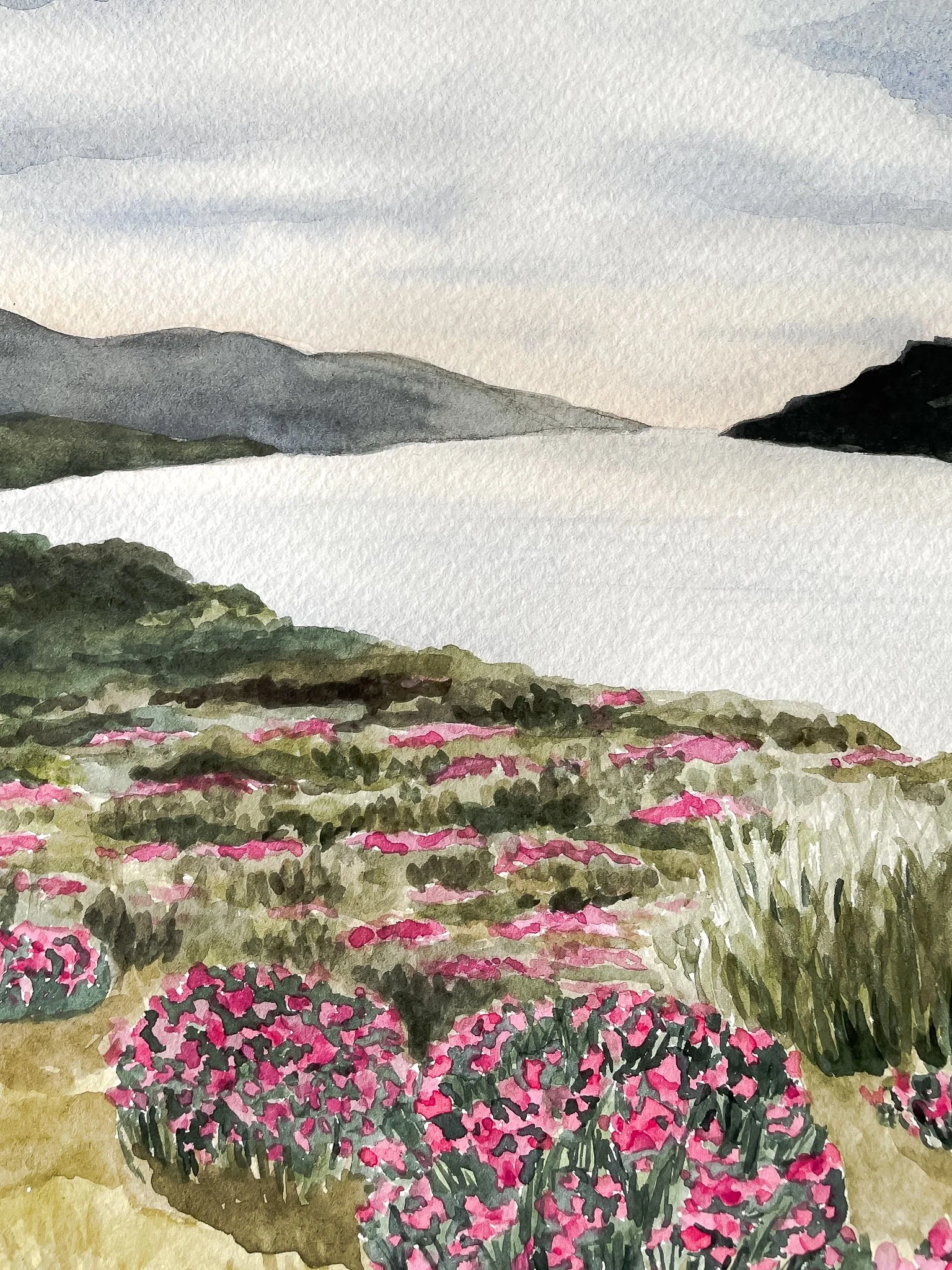 Landscape Collection — The Campbell Creative