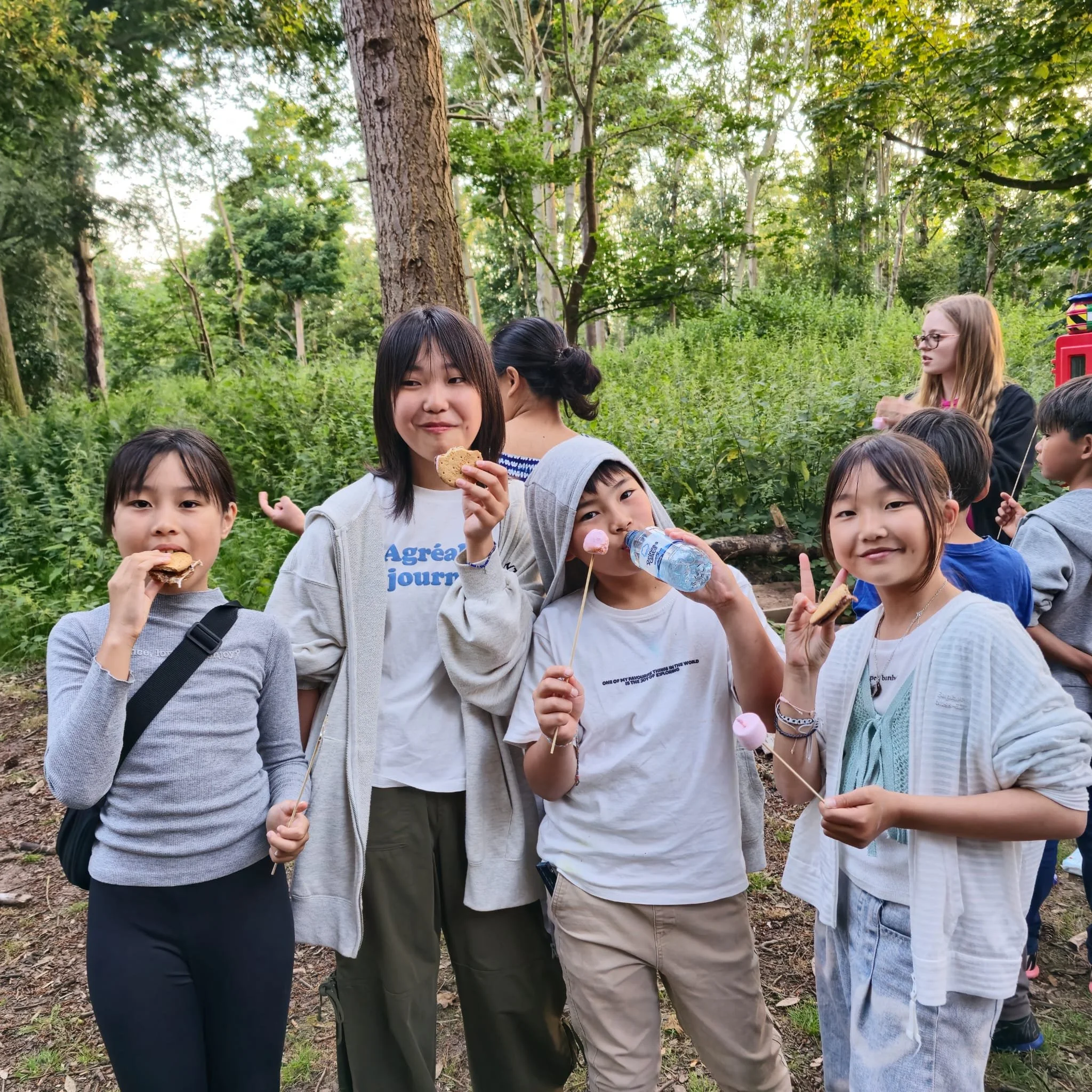 Summer School — Orwell Park School