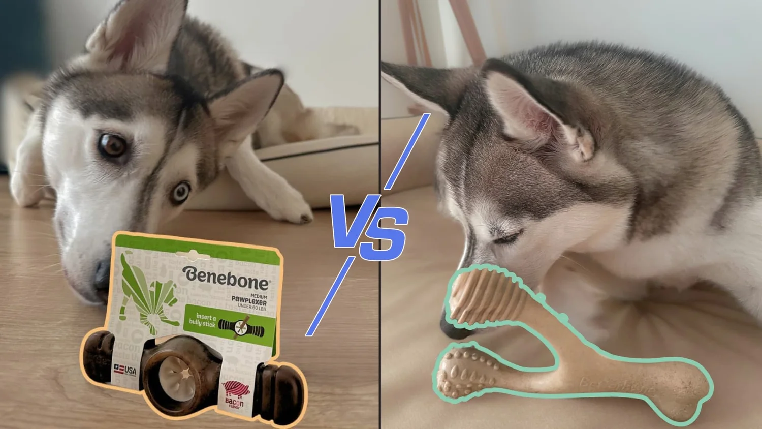 Betterbone vs Benebone - safe dog chew toy options — Pocket Puppy School